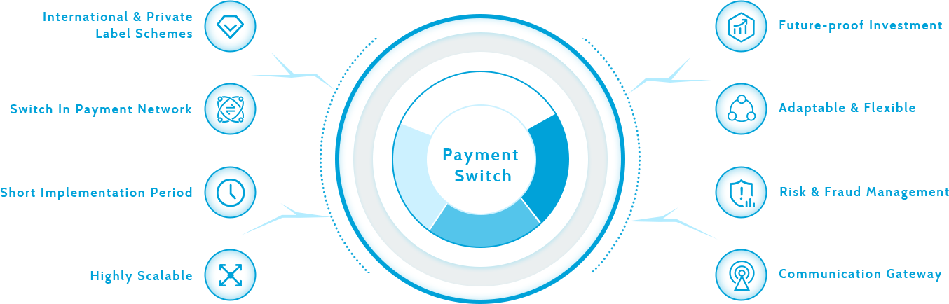 Surnia Payment Switch